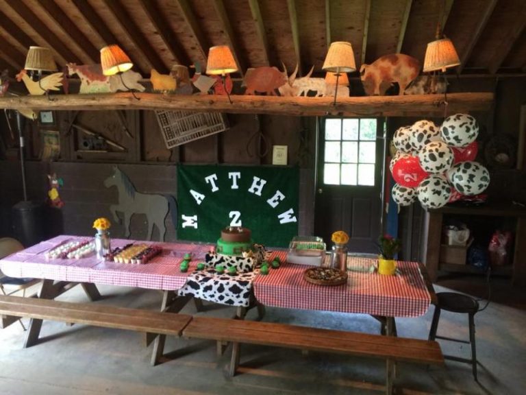 Birthday Parties – Sandy Hill Farm