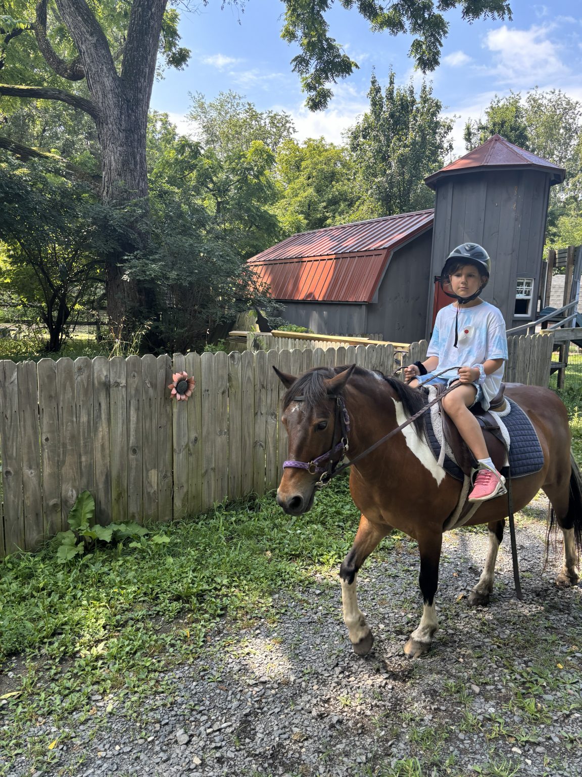 Trail Rides – Sandy Hill Farm