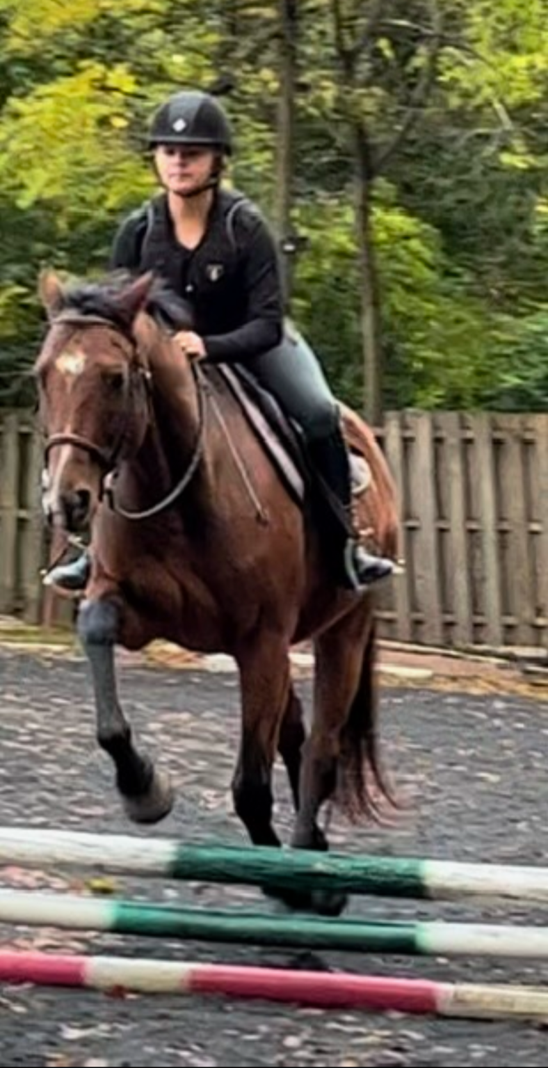 Riding Lessons – Sandy Hill Farm