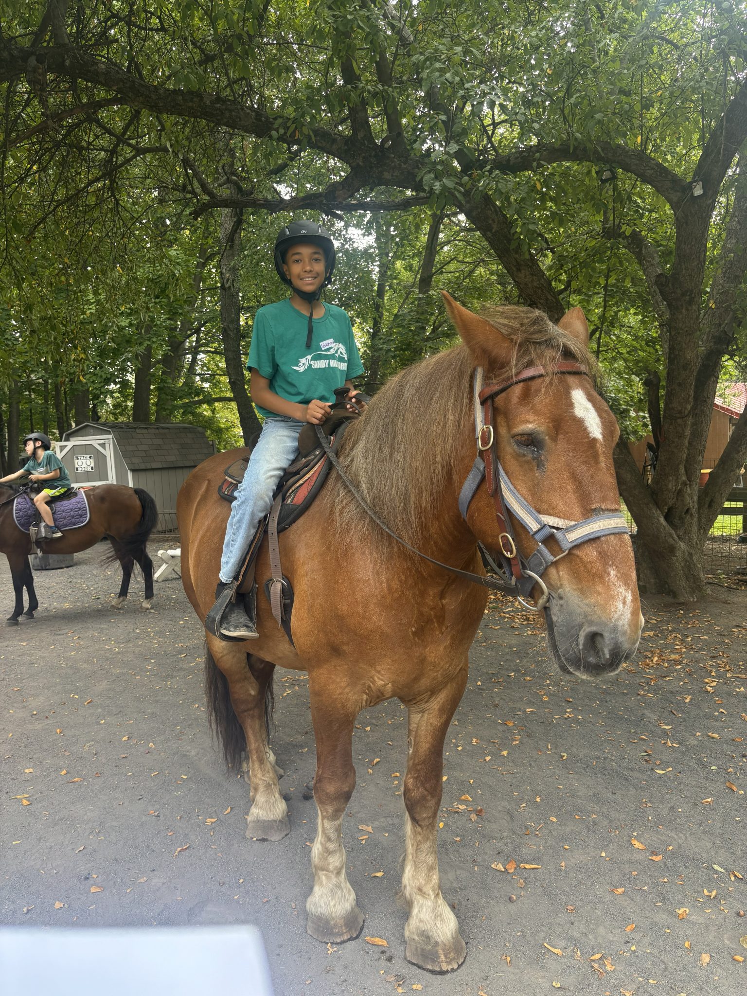 Half Day Camp – Sandy Hill Farm