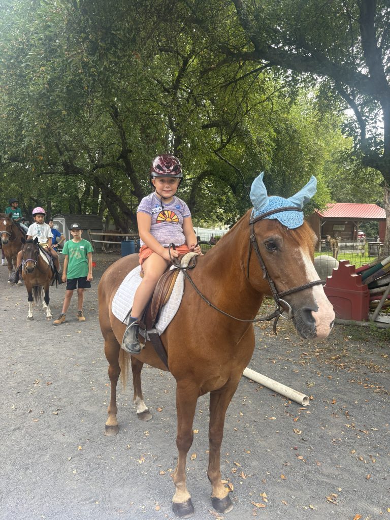 Half Day Camp – Sandy Hill Farm